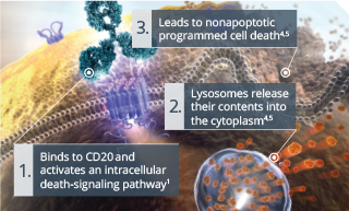 GAZYVA® (obinutuzumab) Proposed Mechanism of Action | CLL