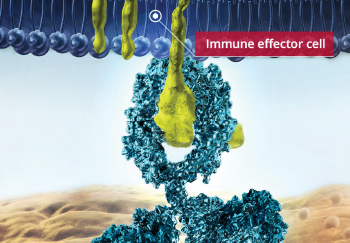 GAZYVA® (obinutuzumab) Proposed Mechanism of Action | CLL