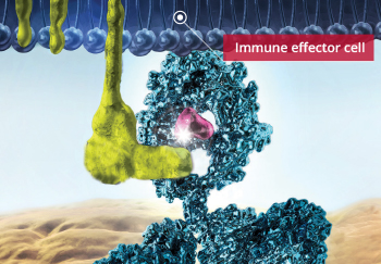 GAZYVA® (obinutuzumab) Proposed Mechanism of Action | CLL